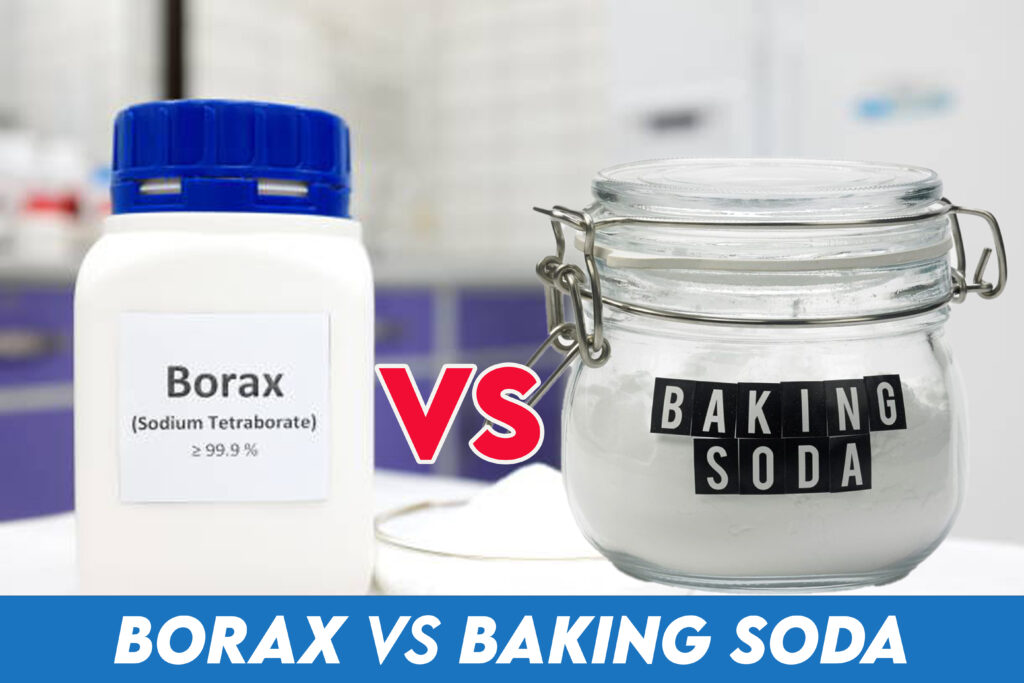 Borax vs Baking Soda Ants: The Ultimate Guide to Choosing Your Natural ...